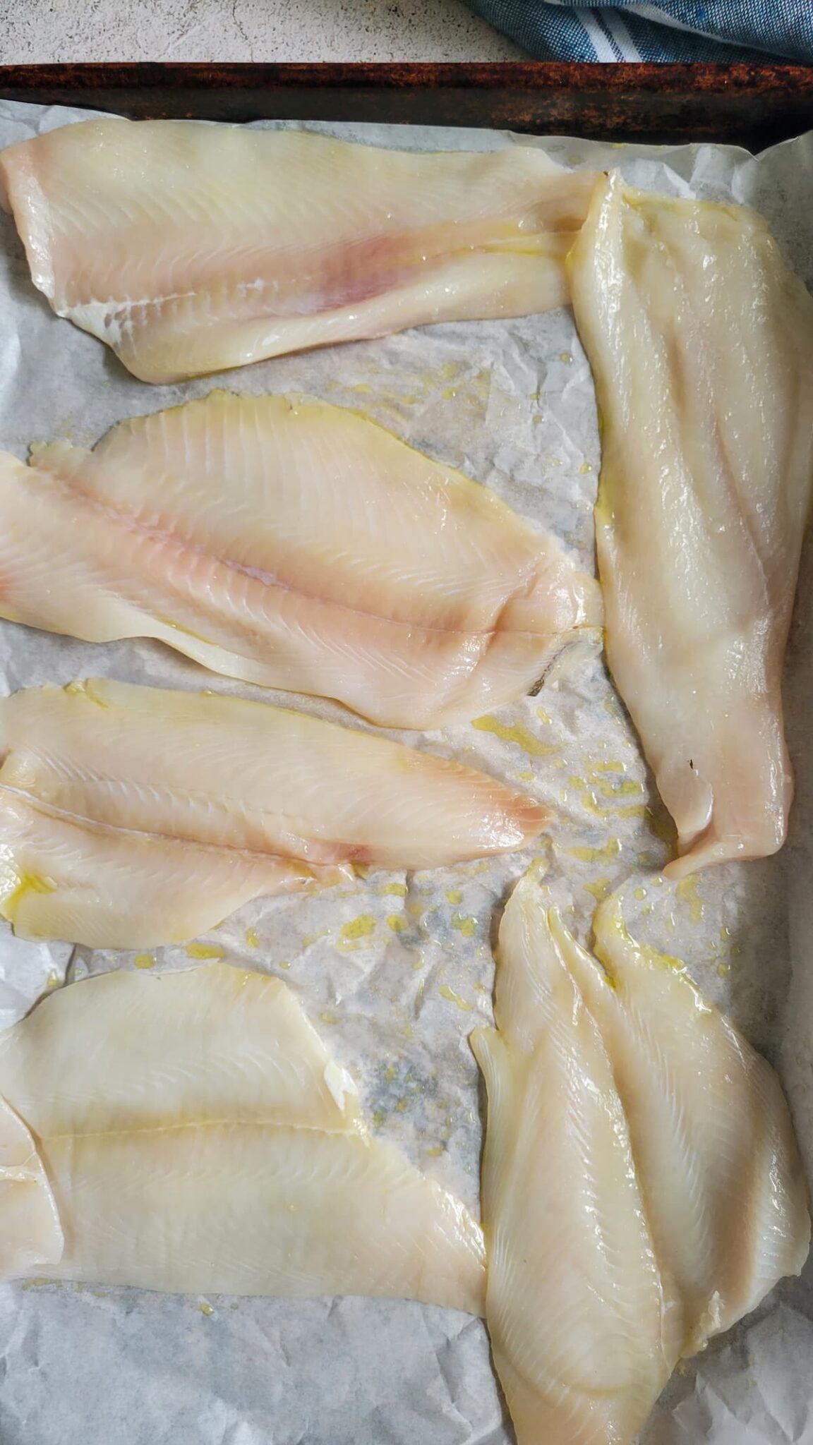 Crusted Parmesan Fish (Keto Friendly) - Hip Hip Gourmet