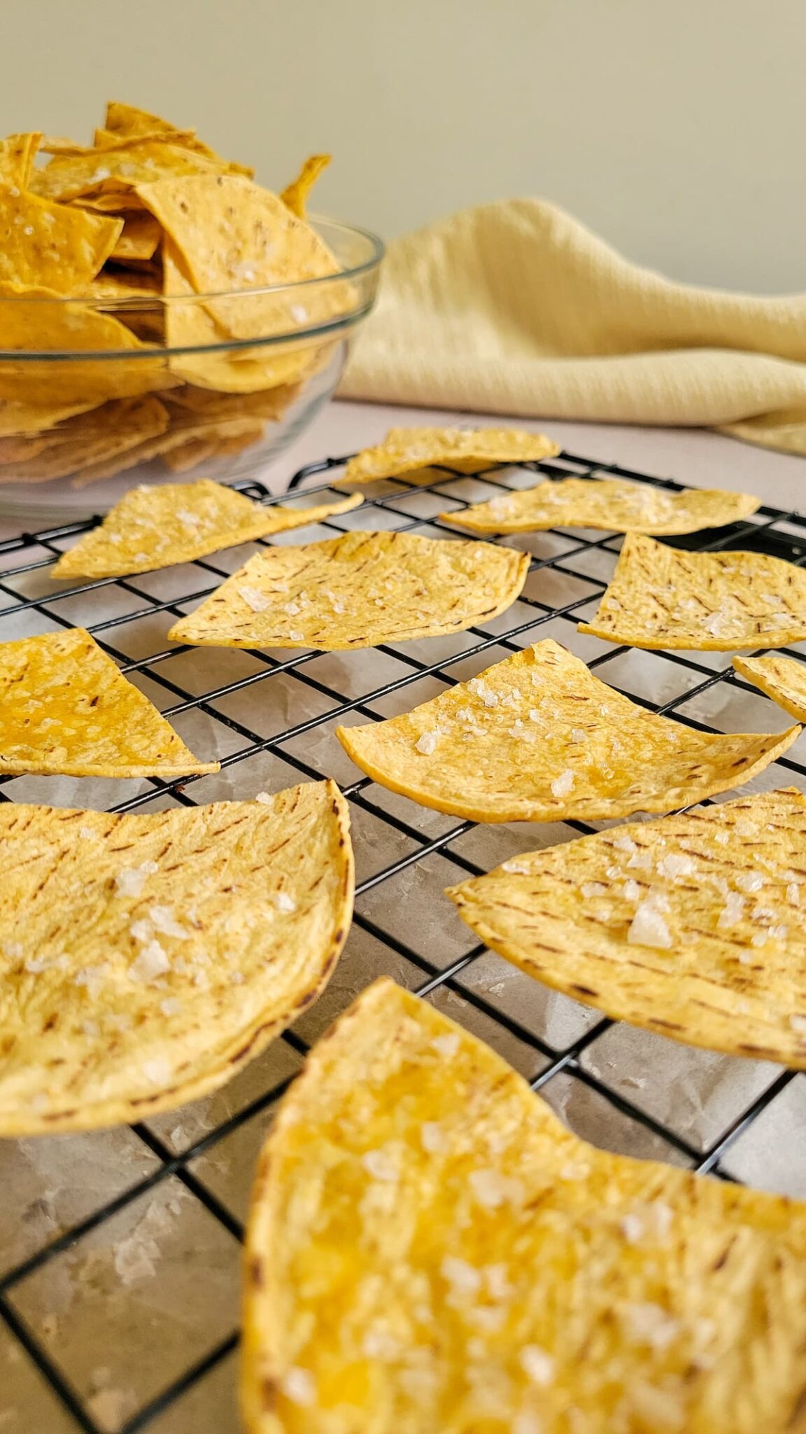 Making Tortillas into Chips (from Corn Tortillas) - Hip Hip Gourmet