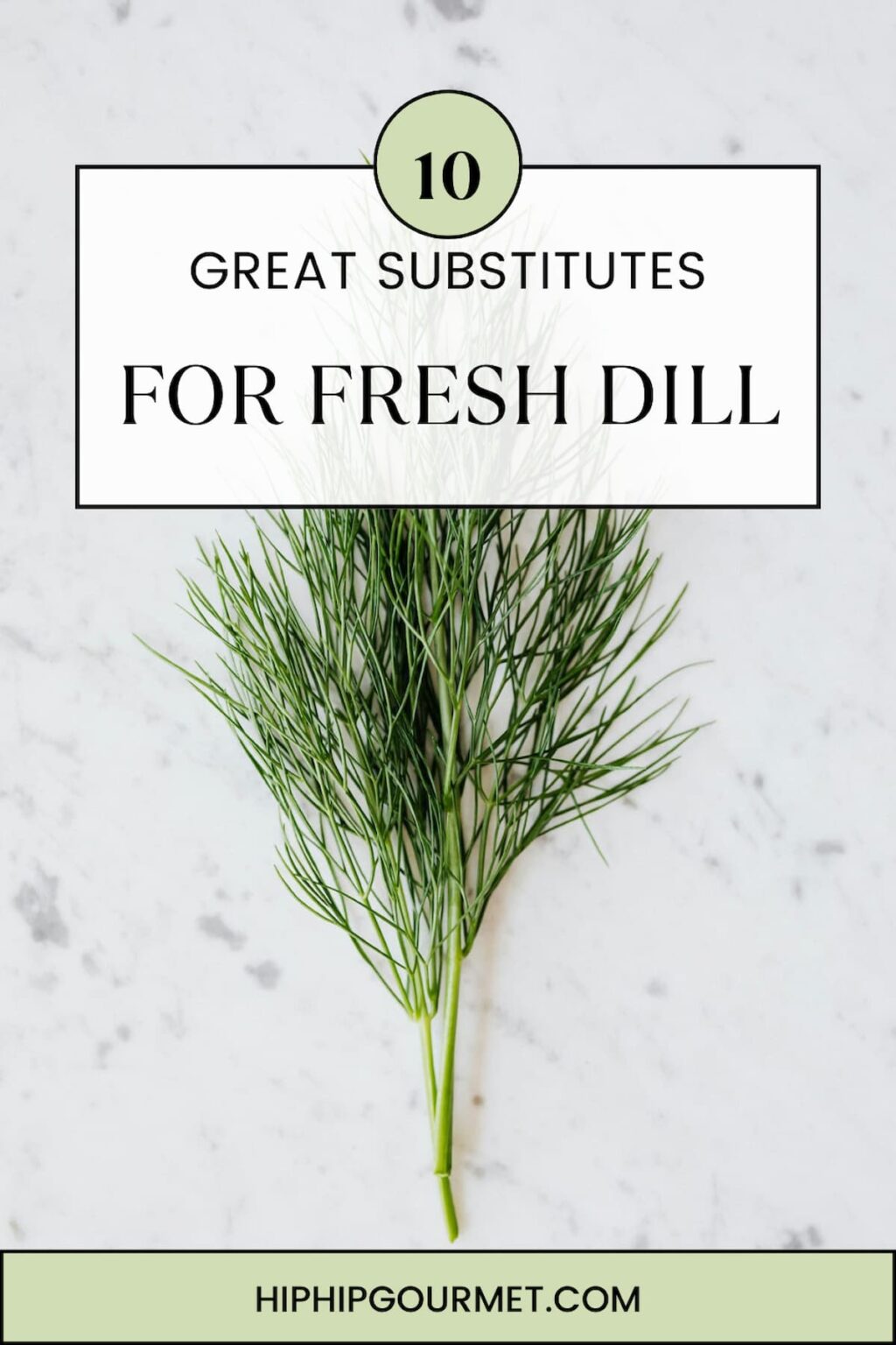 Dill Substitutes: Best Alternatives for Any Recipe - Hip Hip Gourmet
