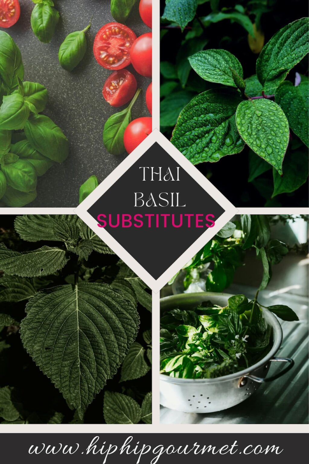 Substitutes for Thai Basil: Alternatives You Already Have! - Hip Hip ...