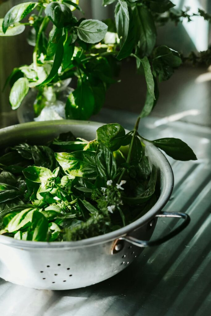 Substitutes for Thai Basil: Alternatives You Already Have! - Hip Hip ...