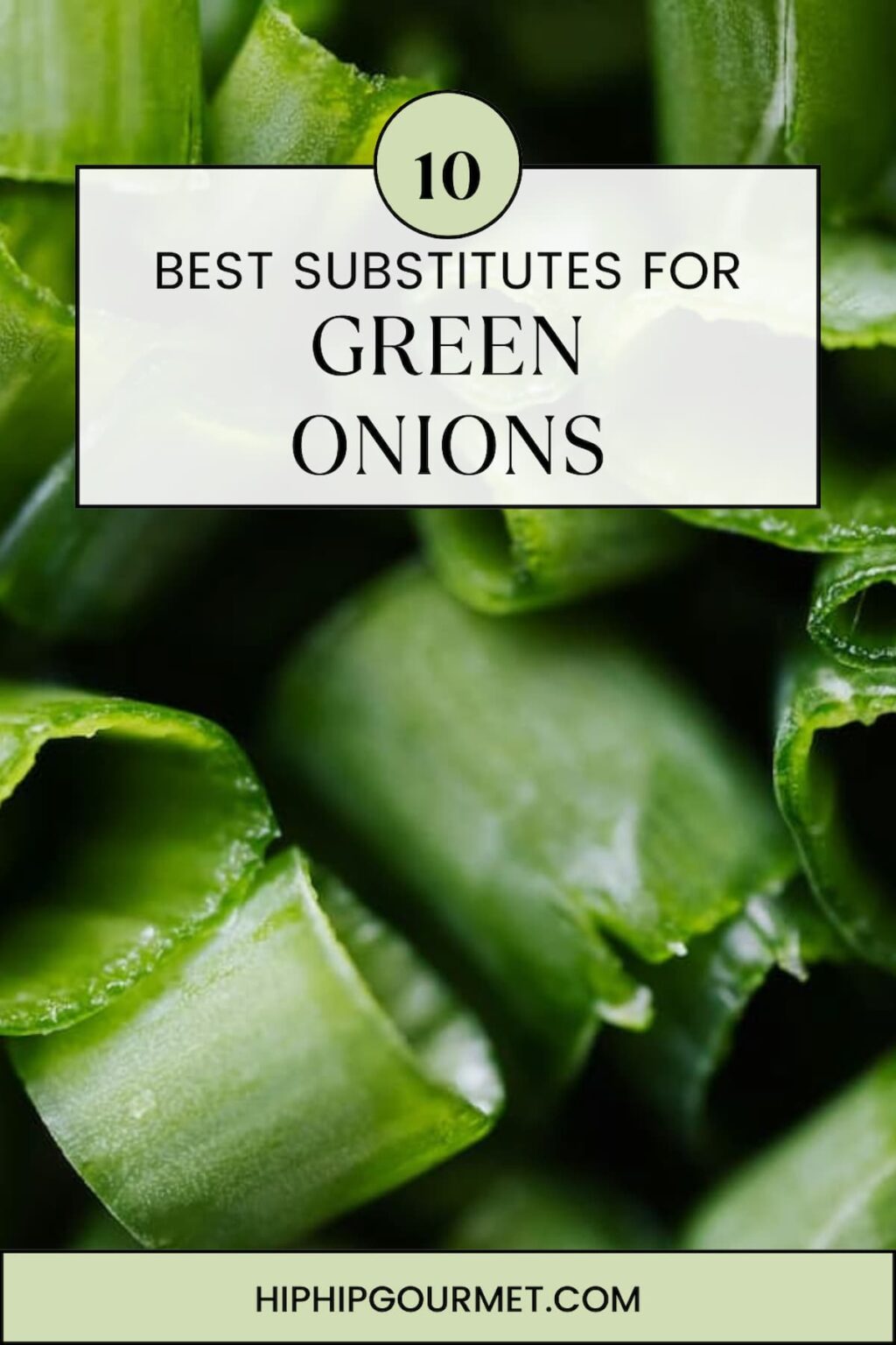 10 Surprising Substitutes for Green Onion You'll Love! - Hip Hip Gourmet