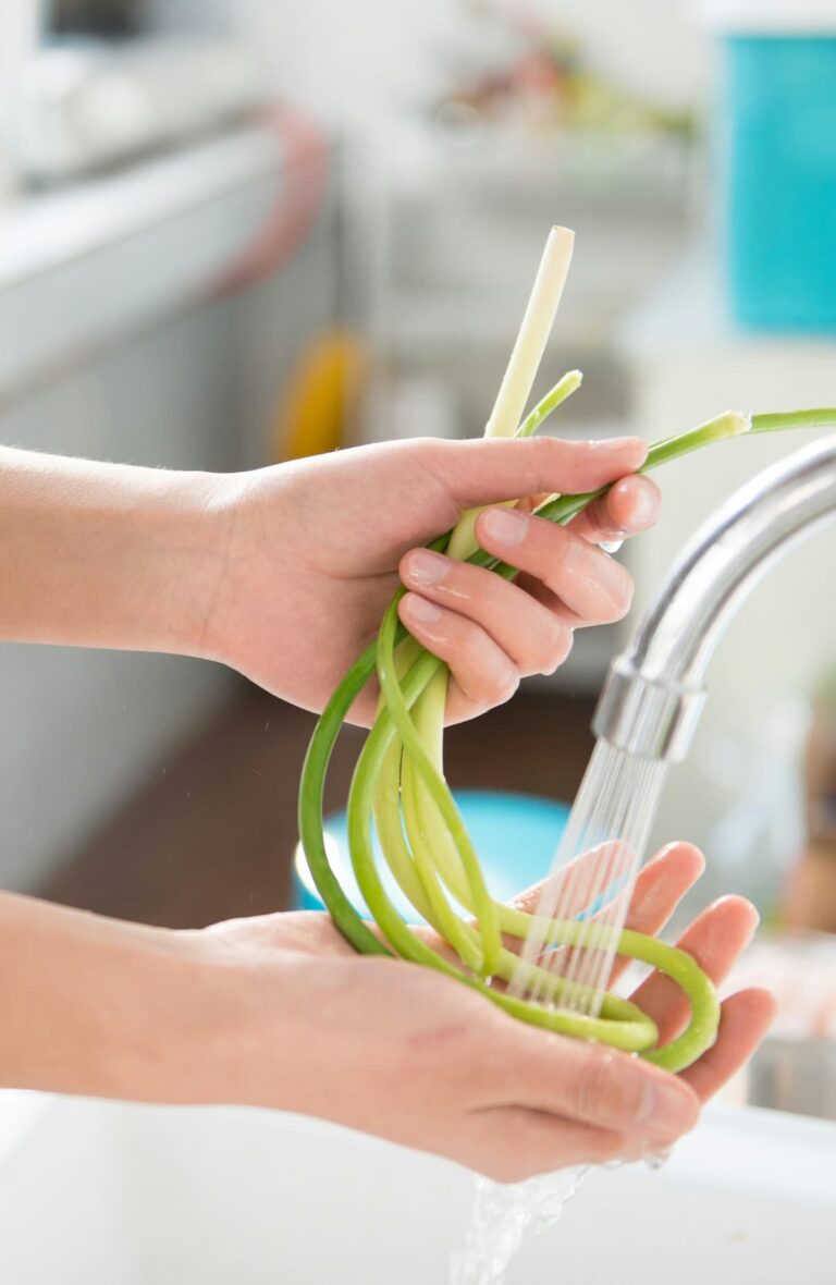 10 Surprising Substitutes for Green Onion You'll Love! - Hip Hip Gourmet
