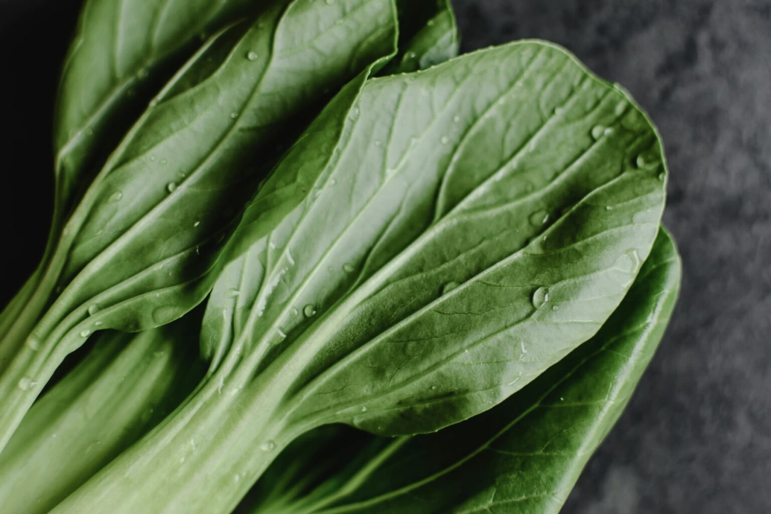 10 Surprising Substitutes for Green Onion You'll Love! - Hip Hip Gourmet
