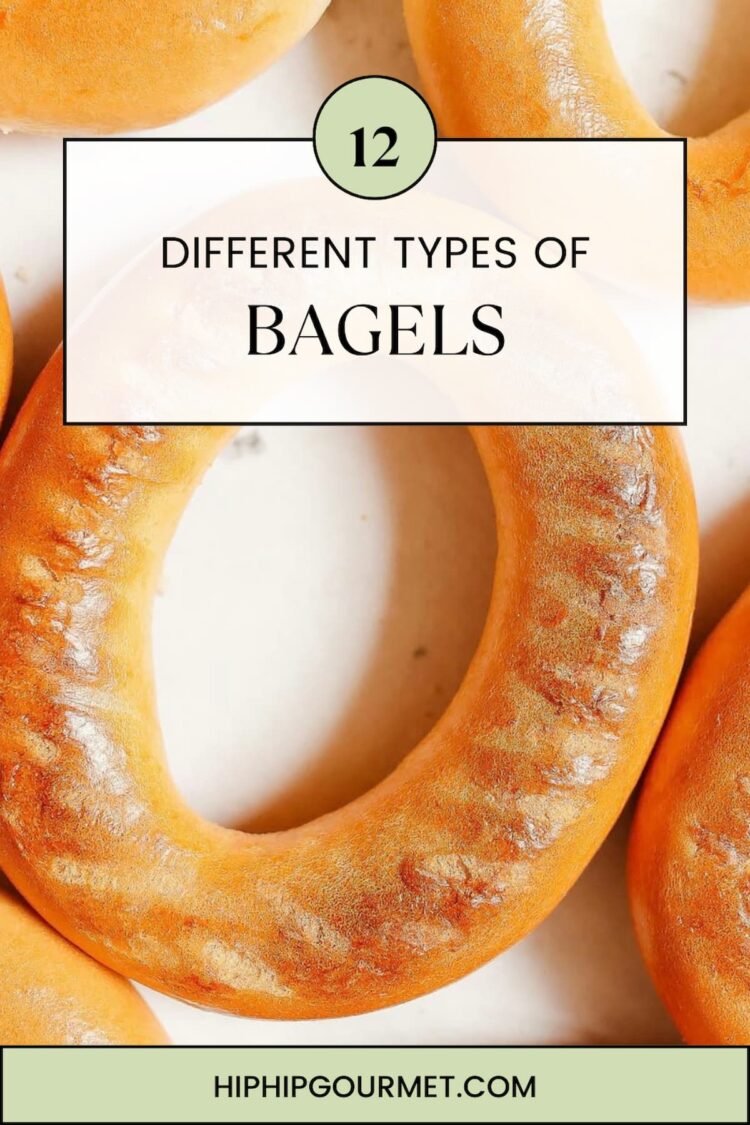 Types of Bagels You Need to Try: From Classics to New - Hip Hip Gourmet