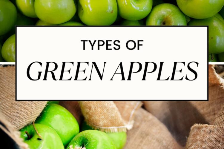 Types of Green Apples: Which One Should You Pick? - Hip Hip Gourmet