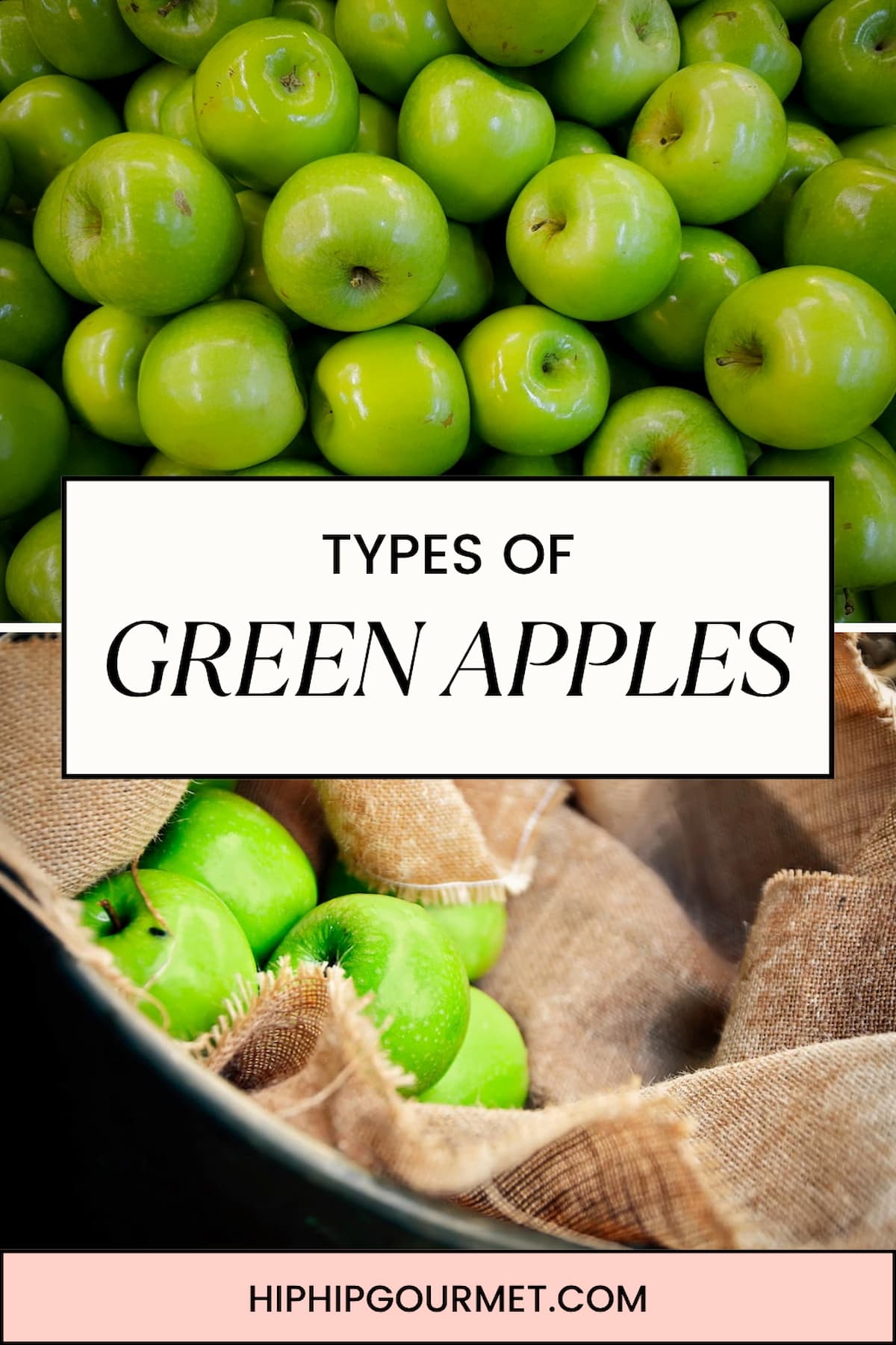 Types of Green Apples: Which One Should You Pick? - Hip Hip Gourmet