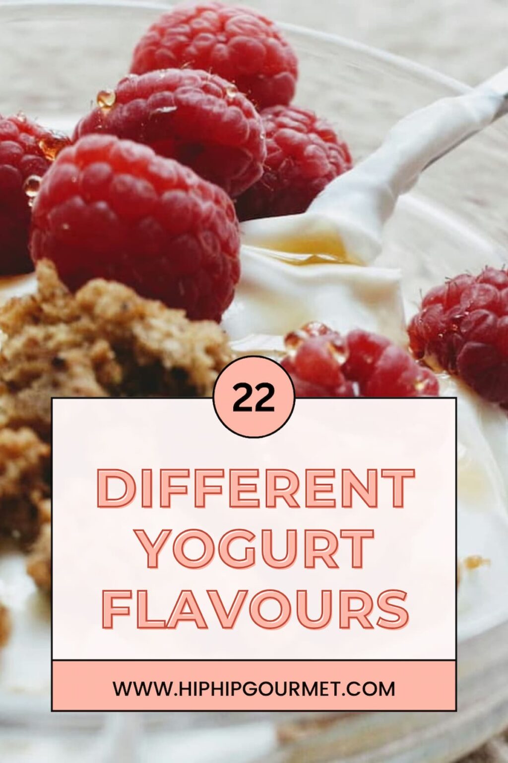 Yogurt Flavours You Need To Try - Hip Hip Gourmet