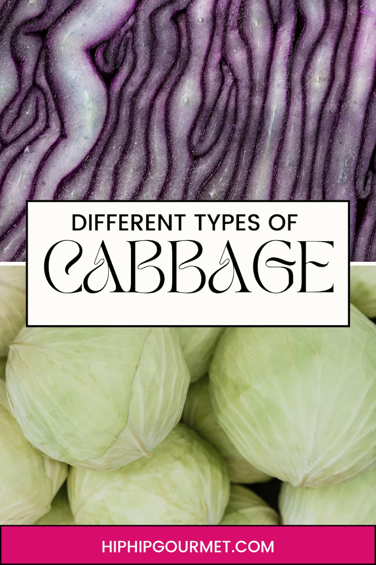 Types of Cabbage: A Fun, No-Fuss Guide - Hip Hip Gourmet