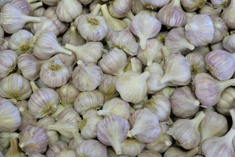Types of Garlic: What to Use and Why It Matters - Hip Hip Gourmet
