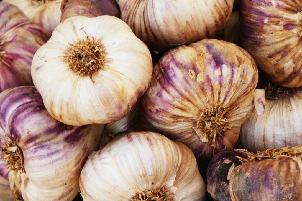 Types of Garlic: What to Use and Why It Matters - Hip Hip Gourmet
