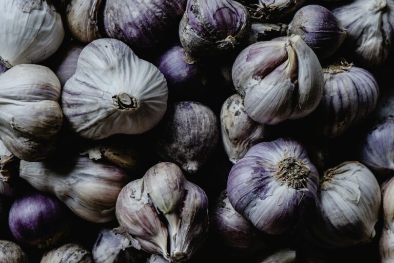 Types of Garlic: What to Use and Why It Matters - Hip Hip Gourmet