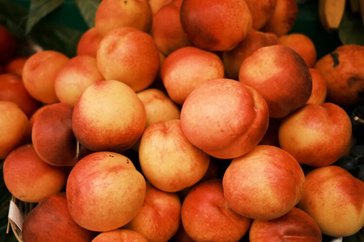 Types of Peaches: Know the Difference - Hip Hip Gourmet