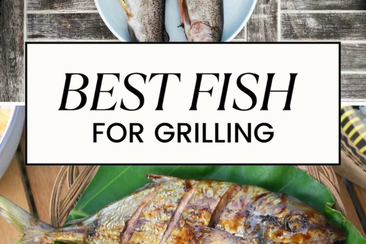 Best Fish for Grilling (That Won’t Fall Apart) - Hip Hip Gourmet